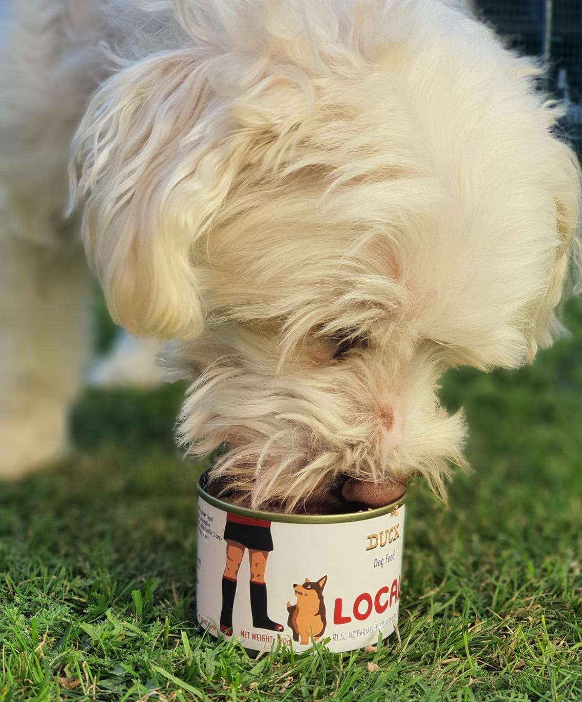 Our Products - Local Pet Food